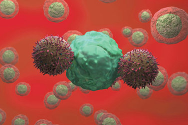 Optimizing T Cell Expansion In Ambr 15 Cell Culture Using DoE And ...