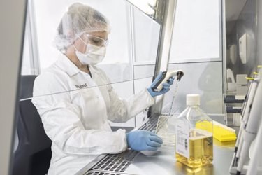 A Guide To Accelerating Cell Line Development For Commercial Production