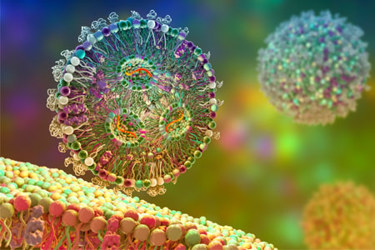 The Crucial Role Of Downstream Processing In Optimizing RNA-LNP Drug ...
