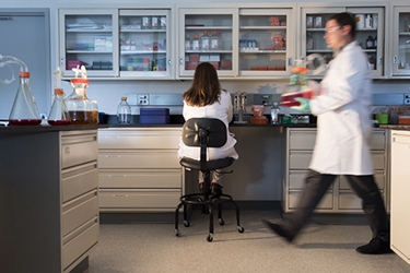 Efficient Expansion Of Suspension CHO Cells In Corning PETG Erlenmeyer ...